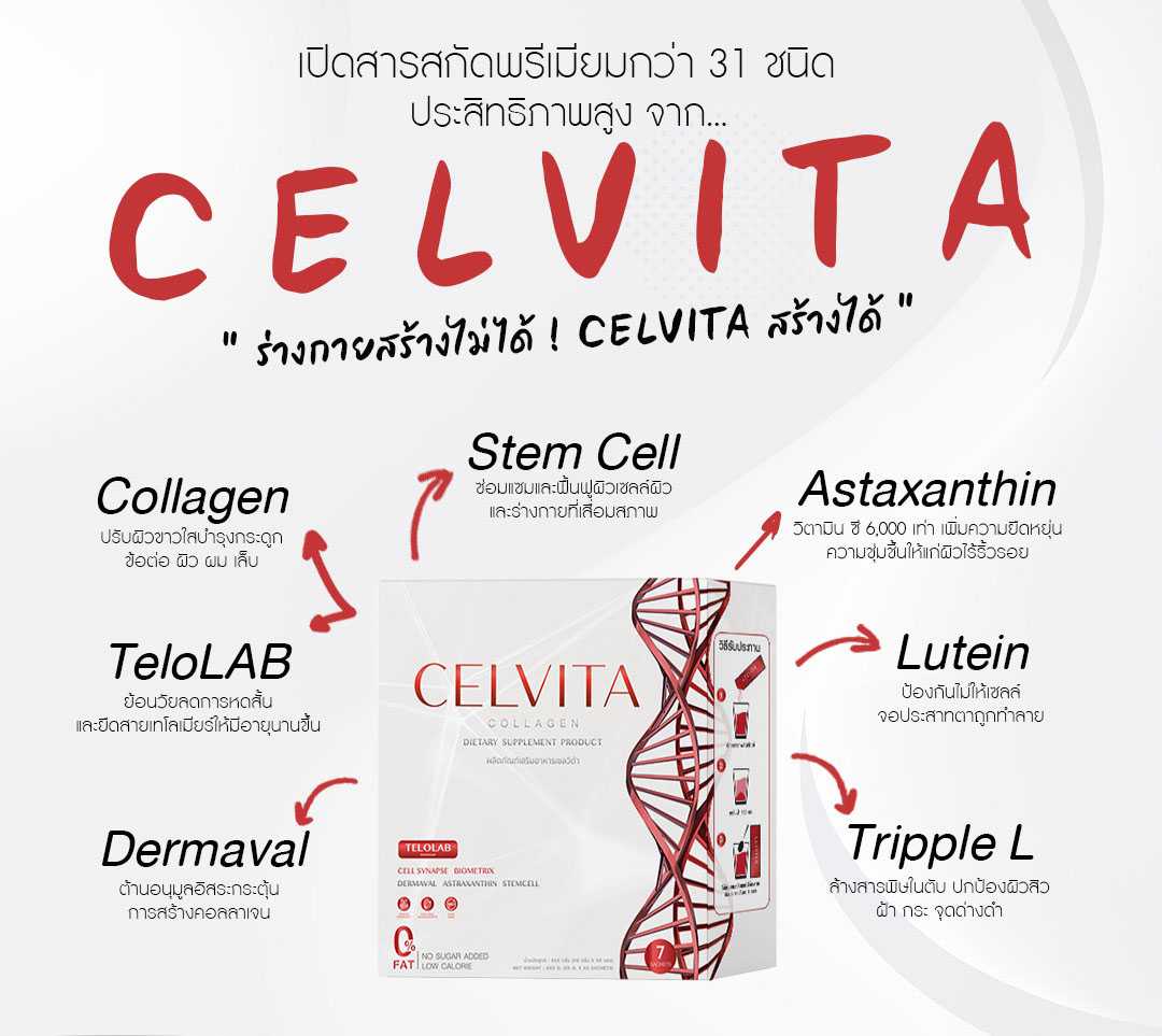 Celvita TeloLab Collagen Dietary Supplement - Thaimegastore
