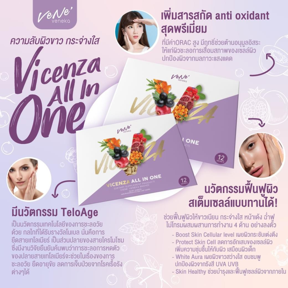 Vene Veneka Vicenza All In One FIR - Thaimegastore