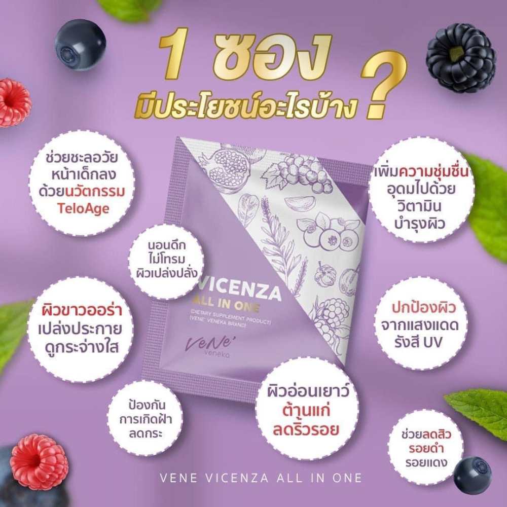 Vene Veneka Vicenza All In One FIR - Thaimegastore