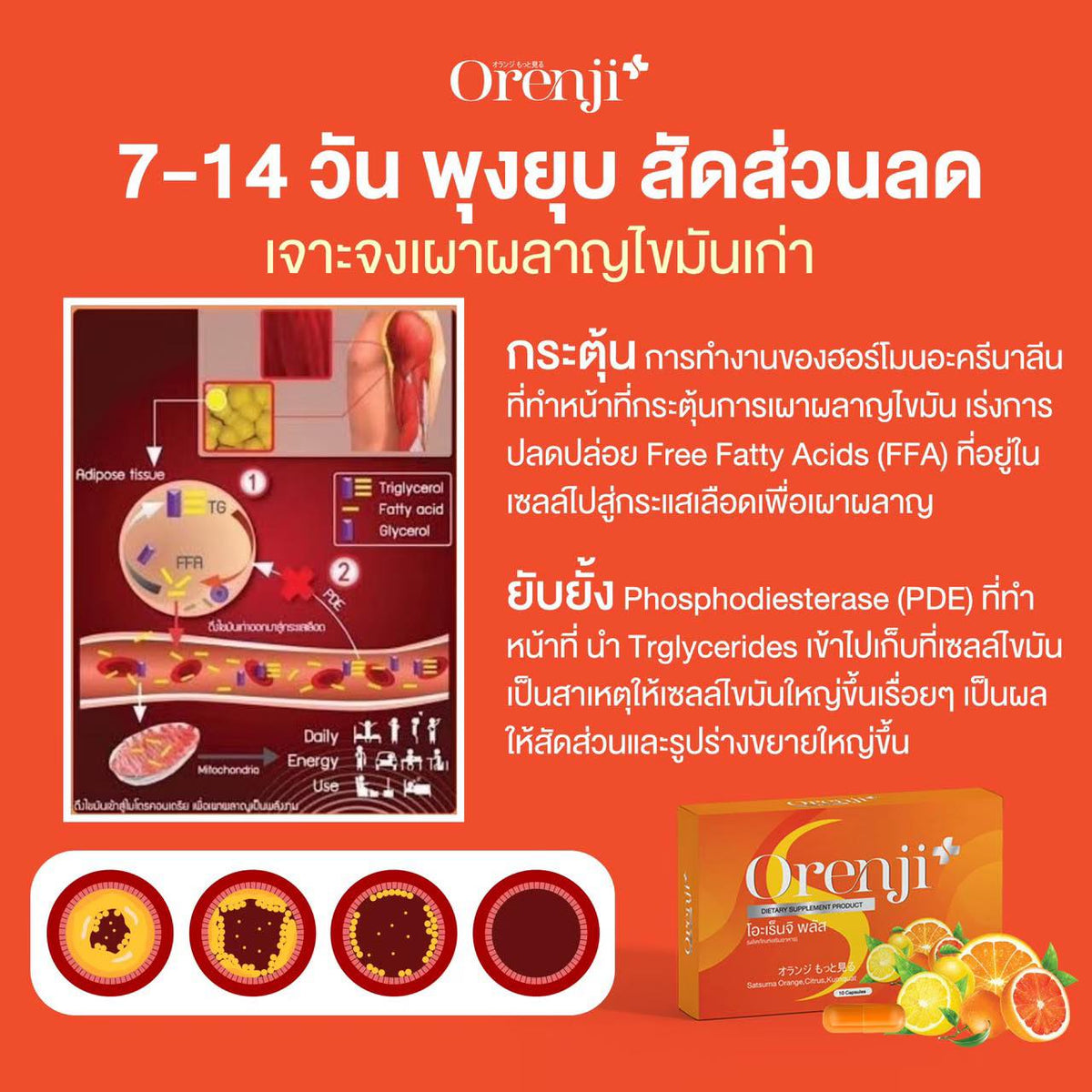 Orenji Plus Dietary Supplement - Thaimegastore