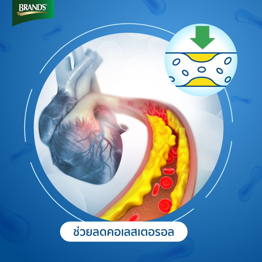 Brand's Innershine Tryptophan Probio - Thaimegastore