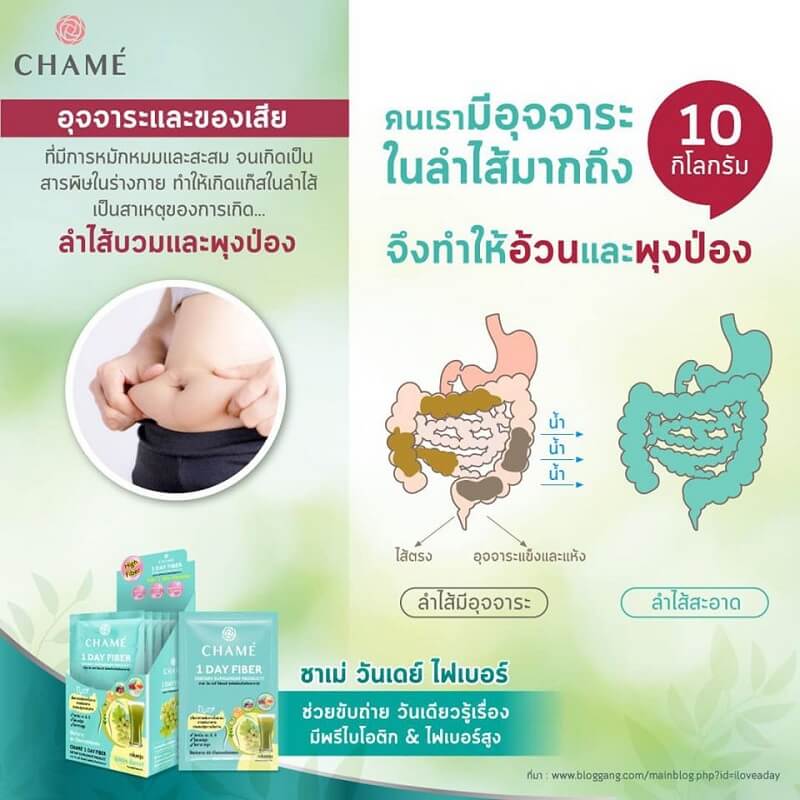 CHAME 1 Day Fiber - Thaimegastore