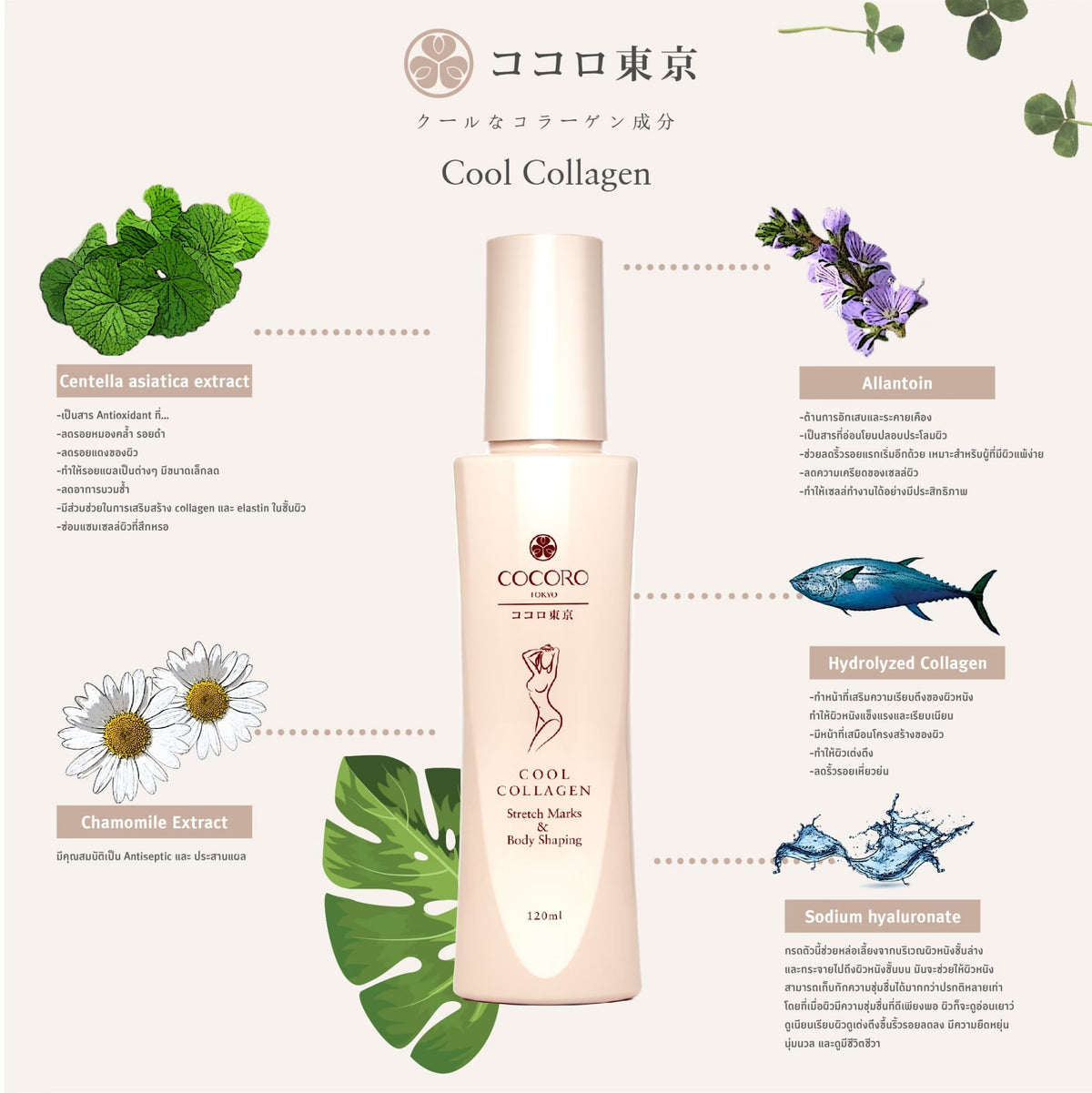COCORO TOKYO Cool Collagen Stretch Marks & Body Shaping Serum ...