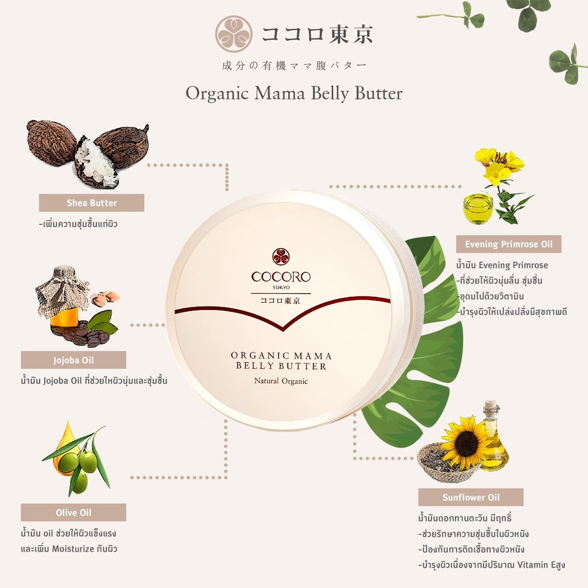 COCORO TOKYO Organic Mama Belly Butter - Thaimegastore