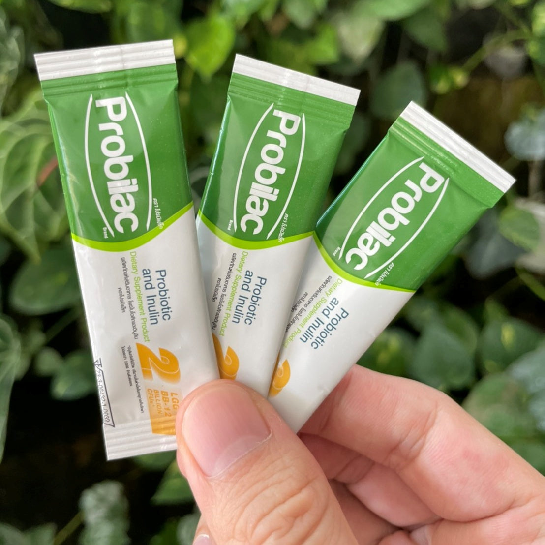 Probilac Probiotics and Inulin - Thaimegastore